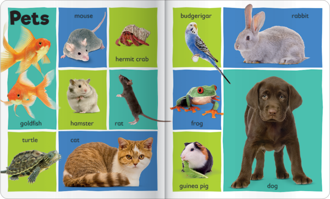 101 first words – Animals – – Booky Wooky