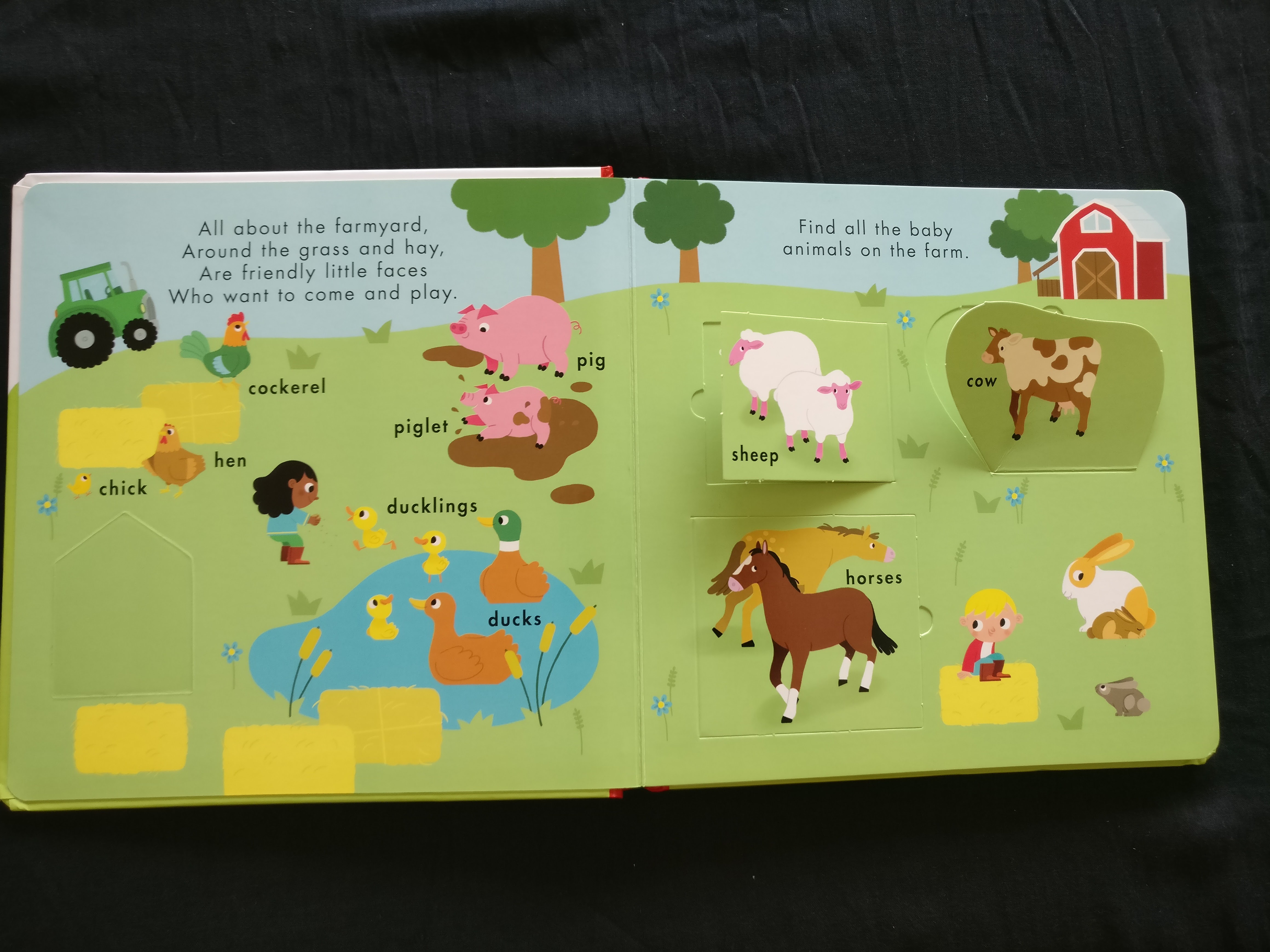 Start Little Learn Big – Lift The Flap Baby Animals – – Booky Wooky