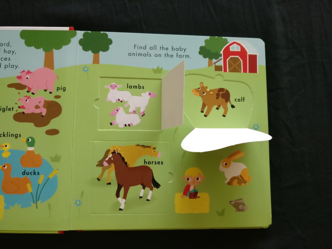 Start Little Learn Big – Lift The Flap Baby Animals – – Booky Wooky