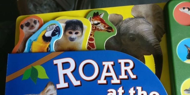 Roar at the Zoo – 10 animal Sounds book – – Booky Wooky