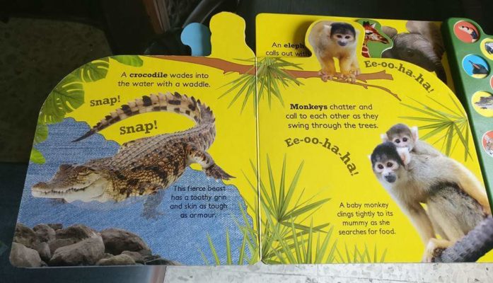 Roar at the Zoo – 10 animal Sounds book – – Booky Wooky