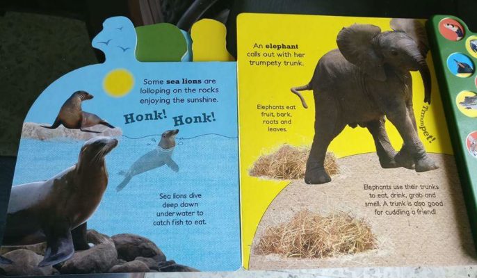 Roar at the Zoo – 10 animal Sounds book – – Booky Wooky