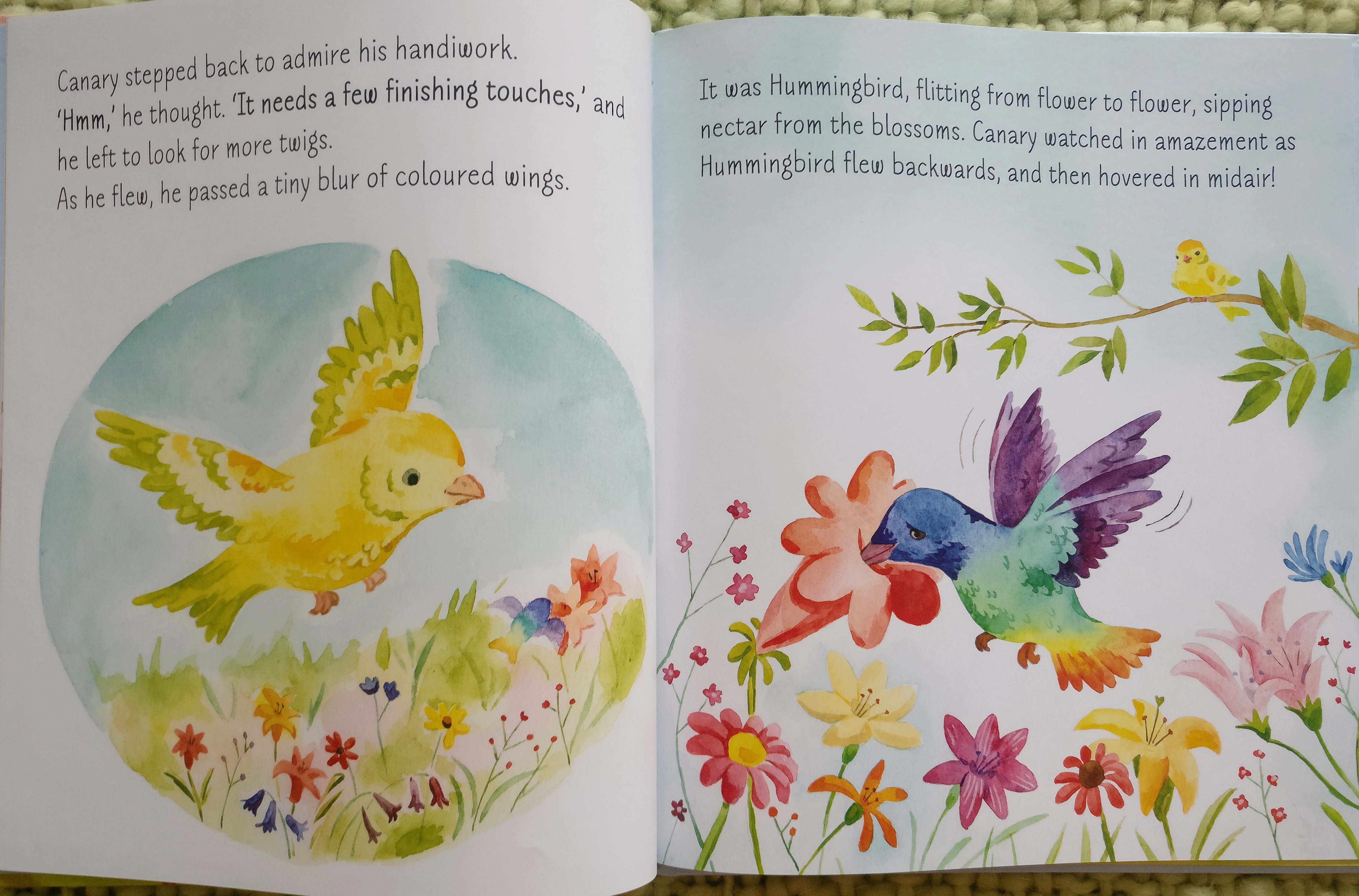 Too Shy to Sing – Story books For Kids – Booky Wooky