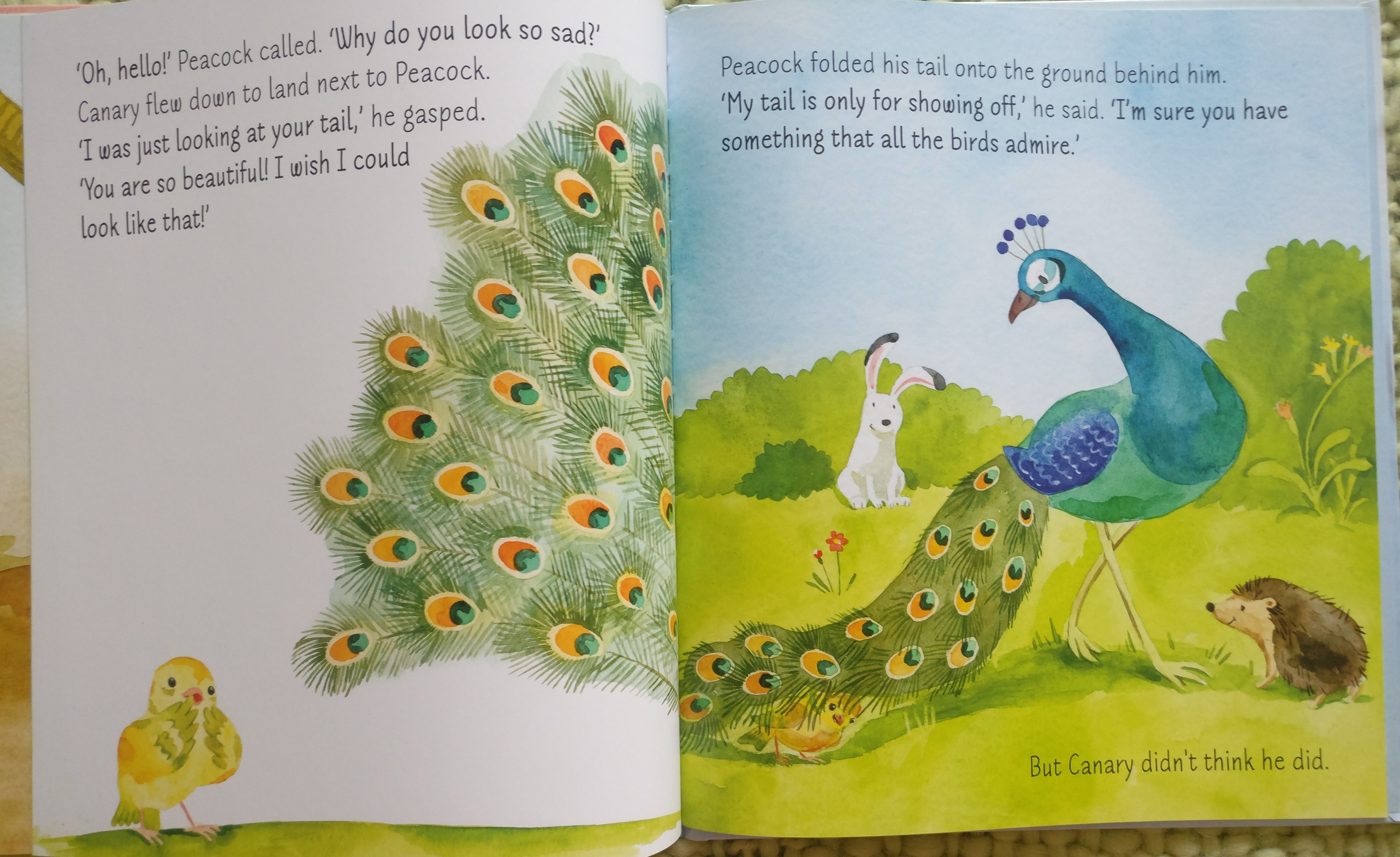 Too Shy to Sing – Story books For Kids – Booky Wooky