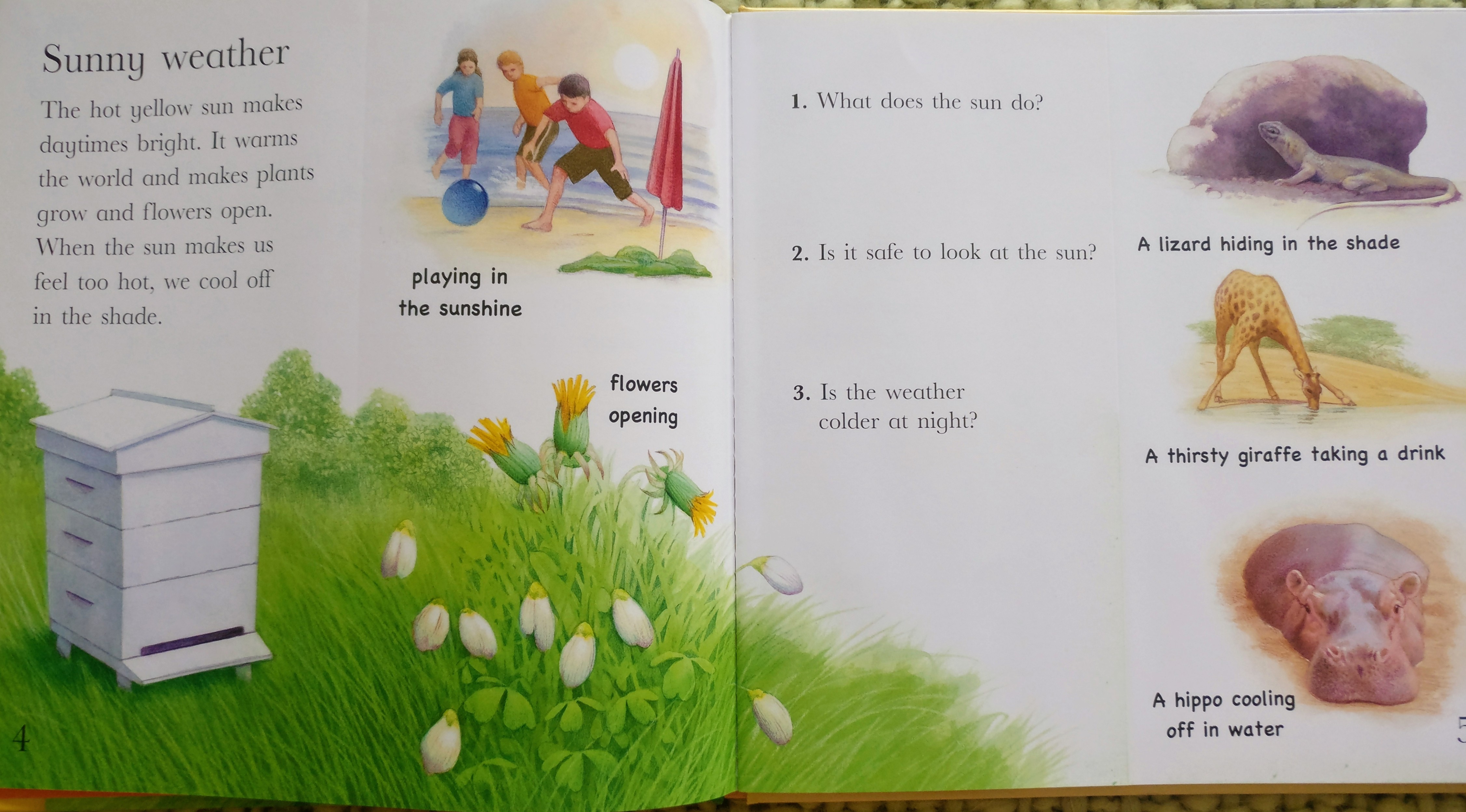 Lift the Flaps – Weather – – Booky Wooky