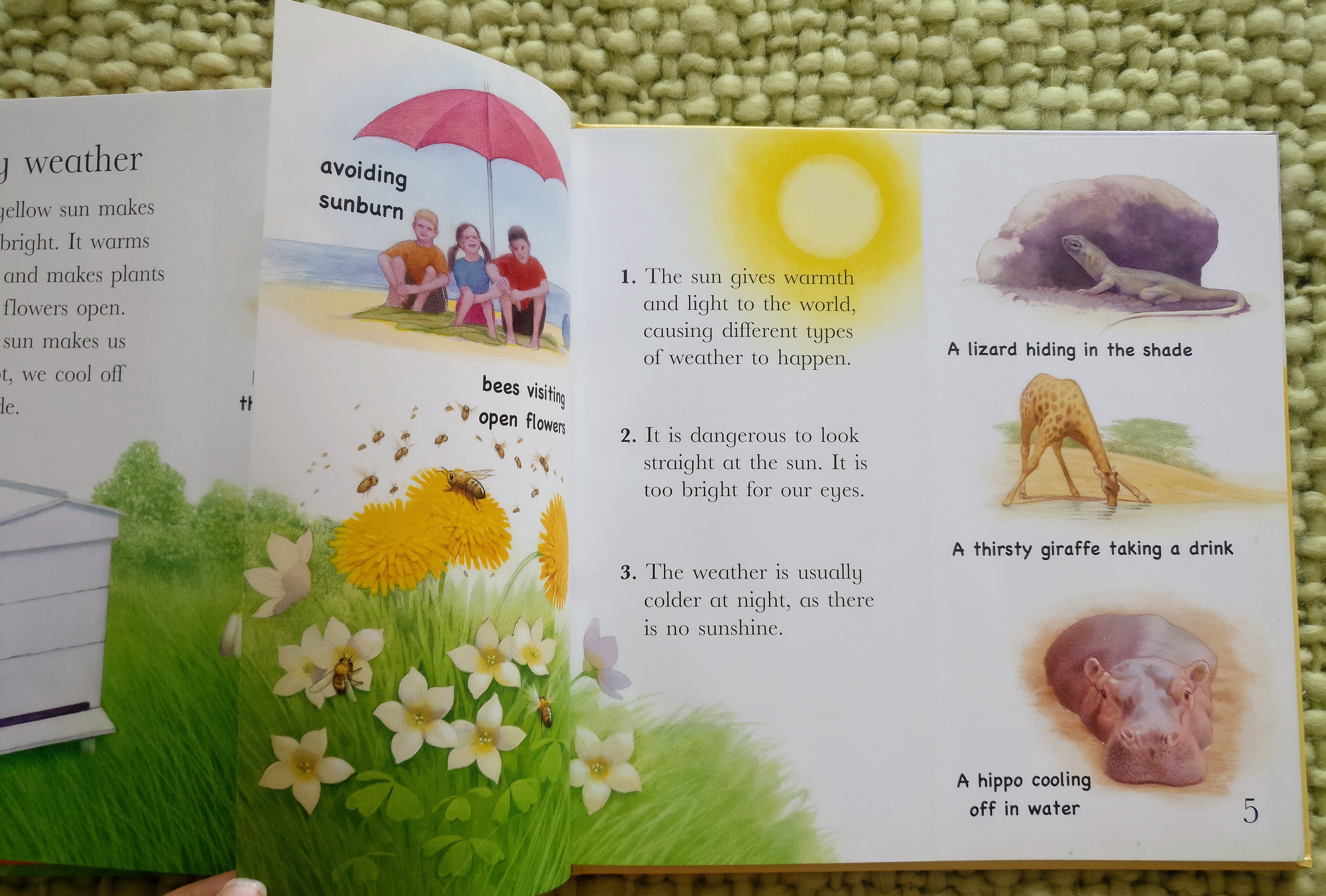 Lift the Flaps – Weather – – Booky Wooky