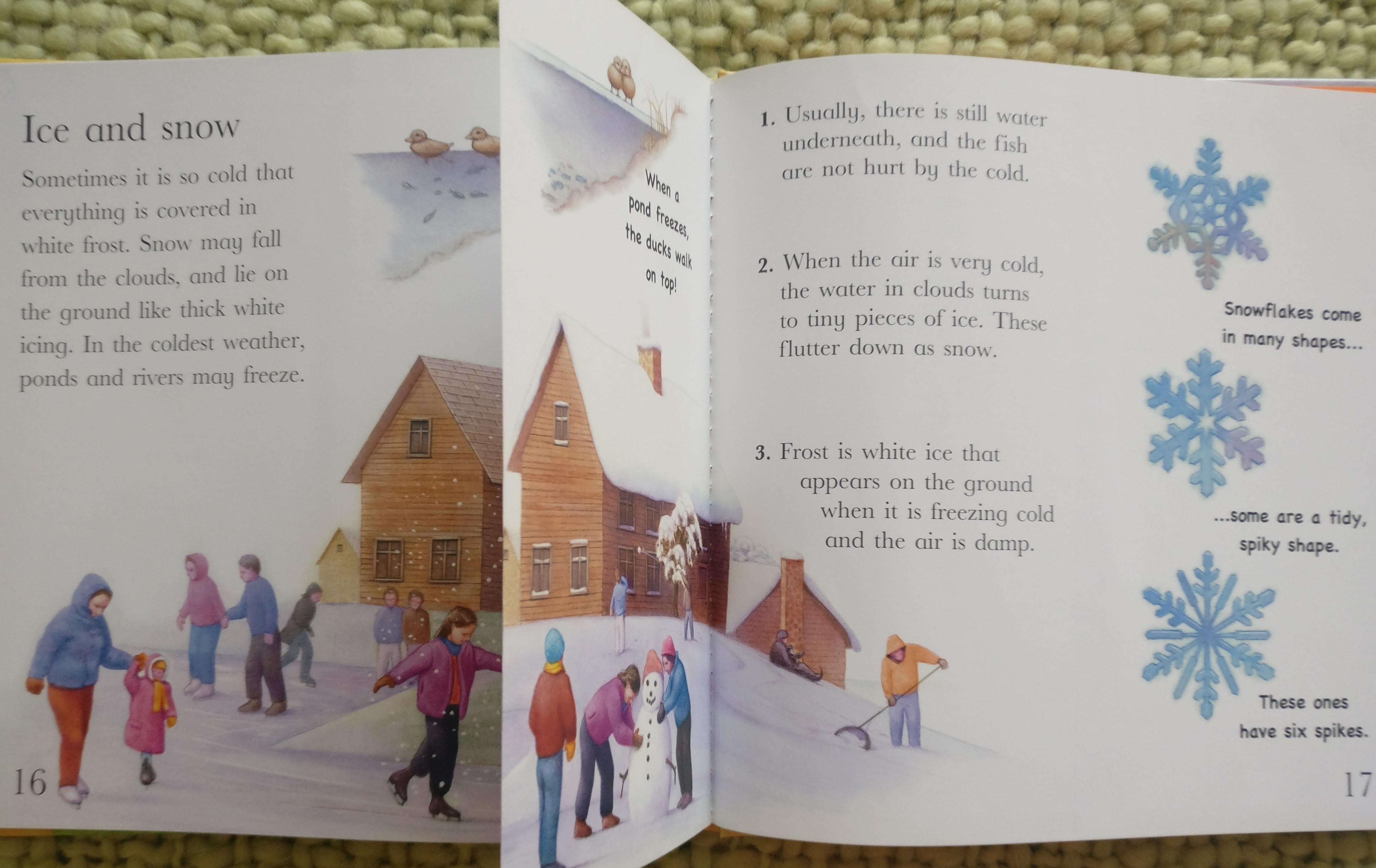 Lift the Flaps – Weather – – Booky Wooky