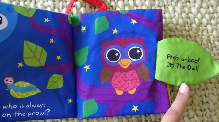 Cloth Book with Flaps – Peek a Boo Forest Cloth book with Flaps ...