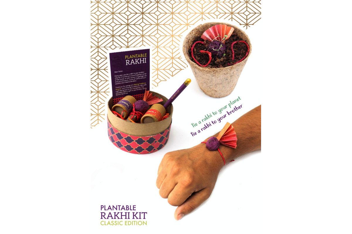 Eco-friendly Plantable Seed Rakhi kit Classic – Festive Products For ...