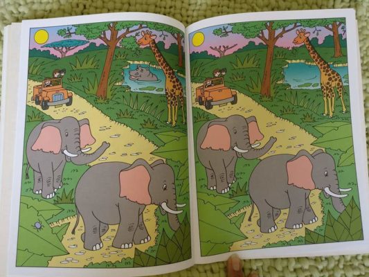 What’s Missing? Find the Stickers – – Booky Wooky