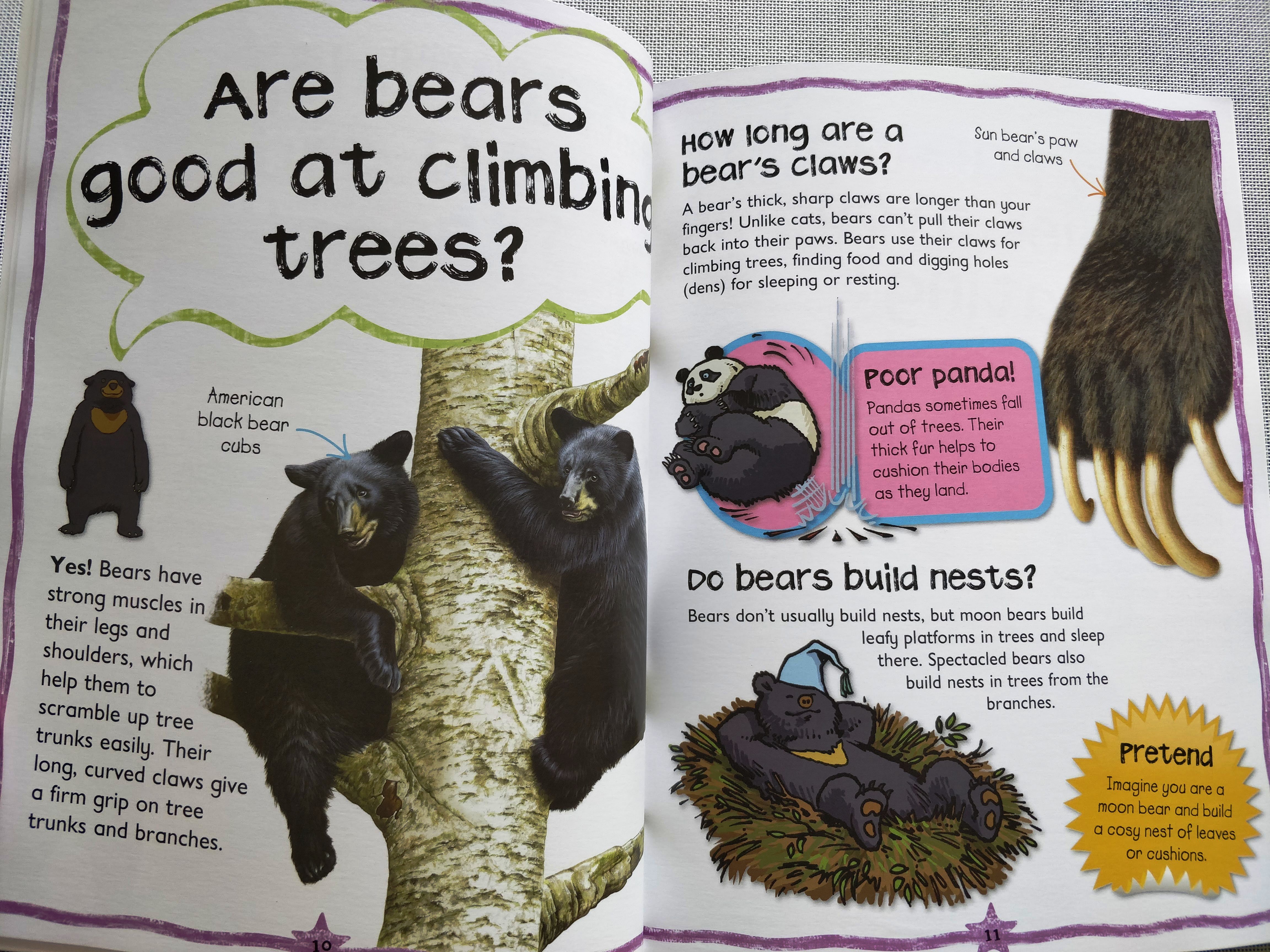 First Questions & Answers – Bears – Why do Bears go Fishing? – – Booky ...