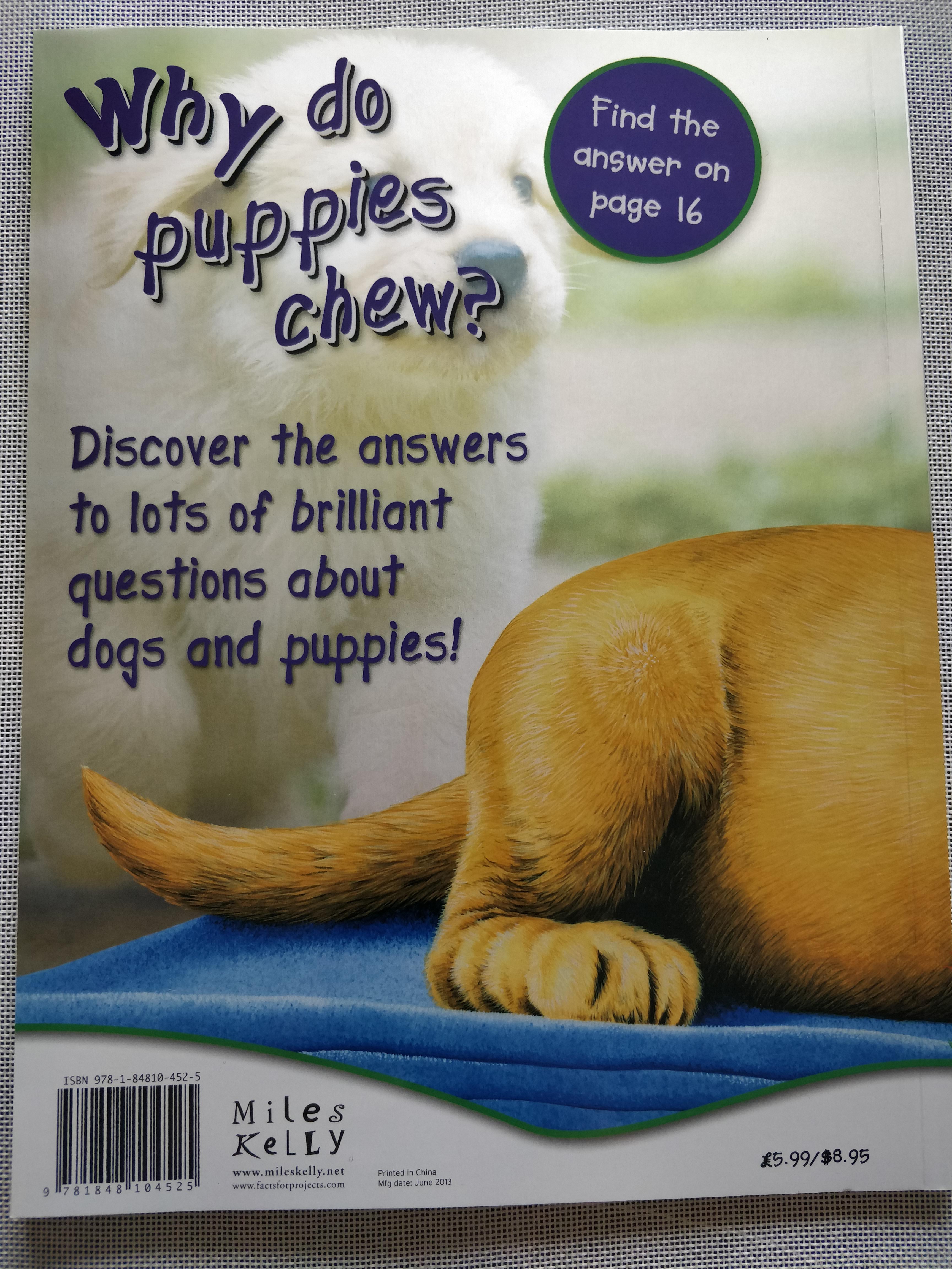 First Questions & Answers - Dogs and Puppies - Why do Puppies chew ...