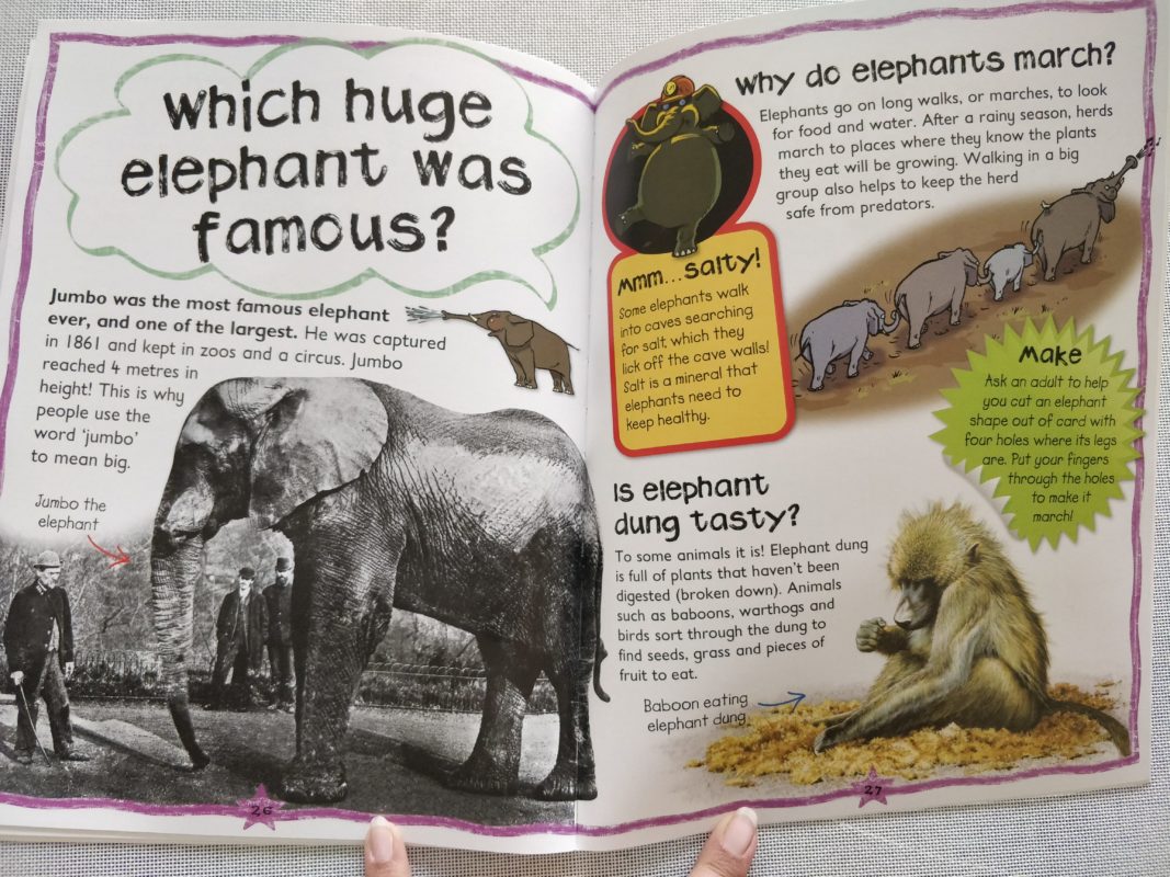 First Questions & Answers – Elephants – Why do Elephants Trumpet ...