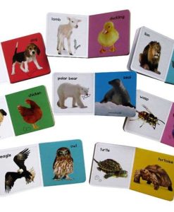 My Learning Library Animals – – Booky Wooky