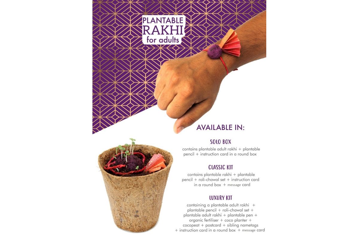 Plantable Rakhi with Seeds for Adults - 3 options – Festive Products ...