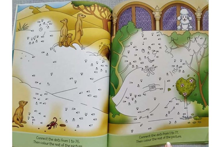 Dot to Dot Activity Book Dot to Dot Activity Book 1-80 – – Booky Wooky