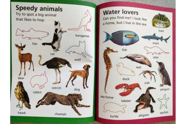 My Big Book of Stickers – 300 Reusable Stickers – – Booky Wooky