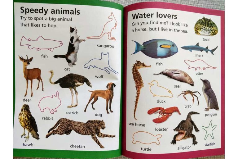 My Big Book of Stickers – 300 Reusable Stickers – – Booky Wooky