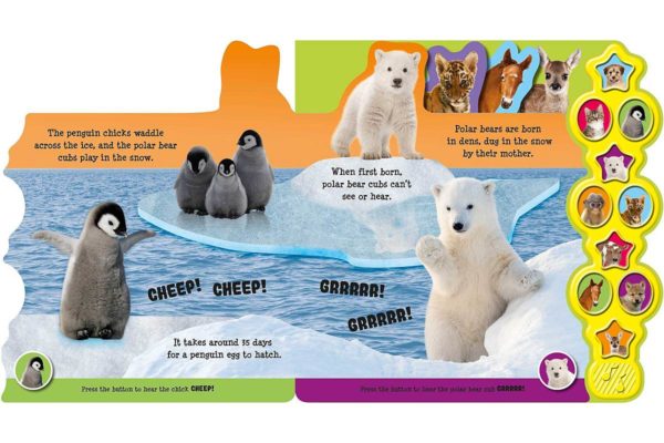 Baby Animals Boardbook with Sound – – Booky Wooky