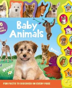 Baby Animals Boardbook with Sound – Educational books For Kids – Booky ...
