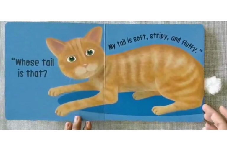 Whose Tail? Pets – – Booky Wooky