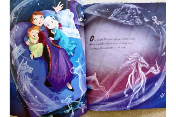 Disney Frozen 2 Anna Elsa and the Secret River – – Booky Wooky