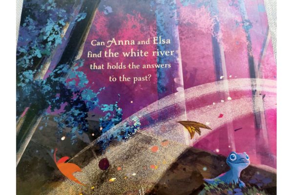 Disney Frozen 2 Anna Elsa and the Secret River – – Booky Wooky