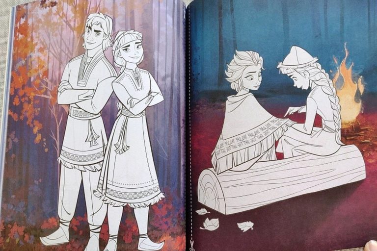 Disney Frozen 2 The Ultimate Colouring Book – – Booky Wooky