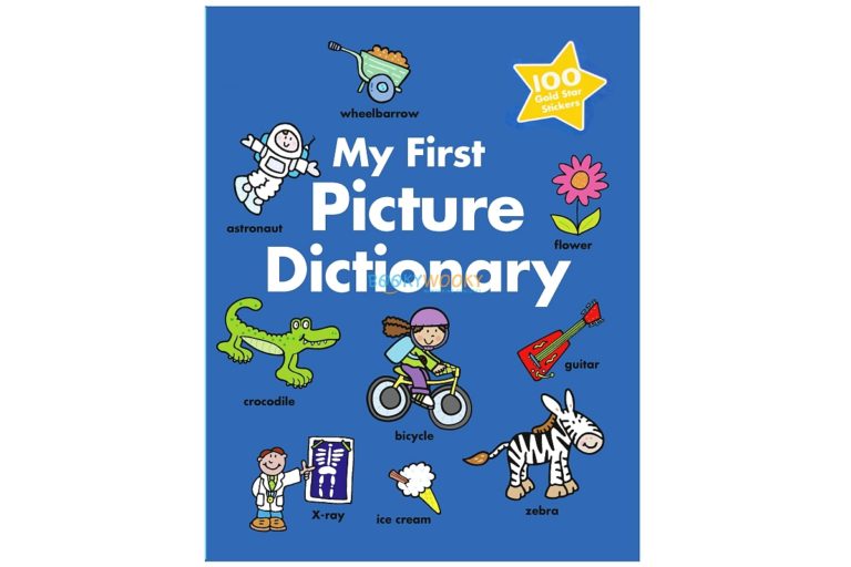 My First Picture Dictionary 100 Gold Star stickers – – Booky Wooky