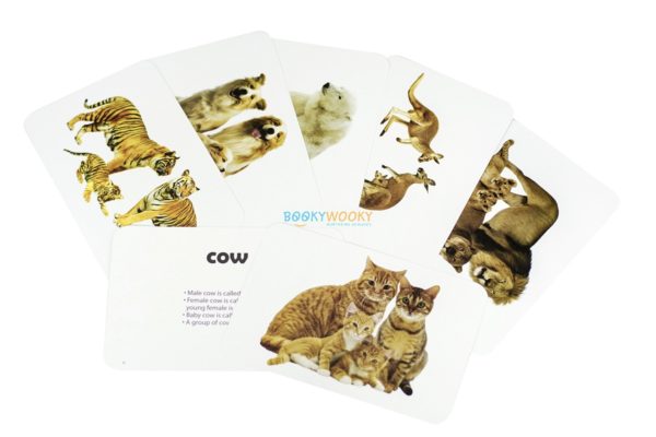 Animals & Their Babies Flashcards – – Booky Wooky