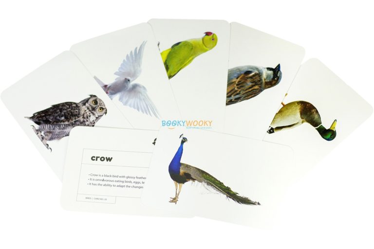 Birds Flashcards – – Booky Wooky