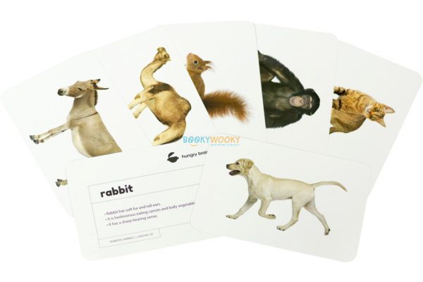 Domestic Animals Flashcards – – Booky Wooky
