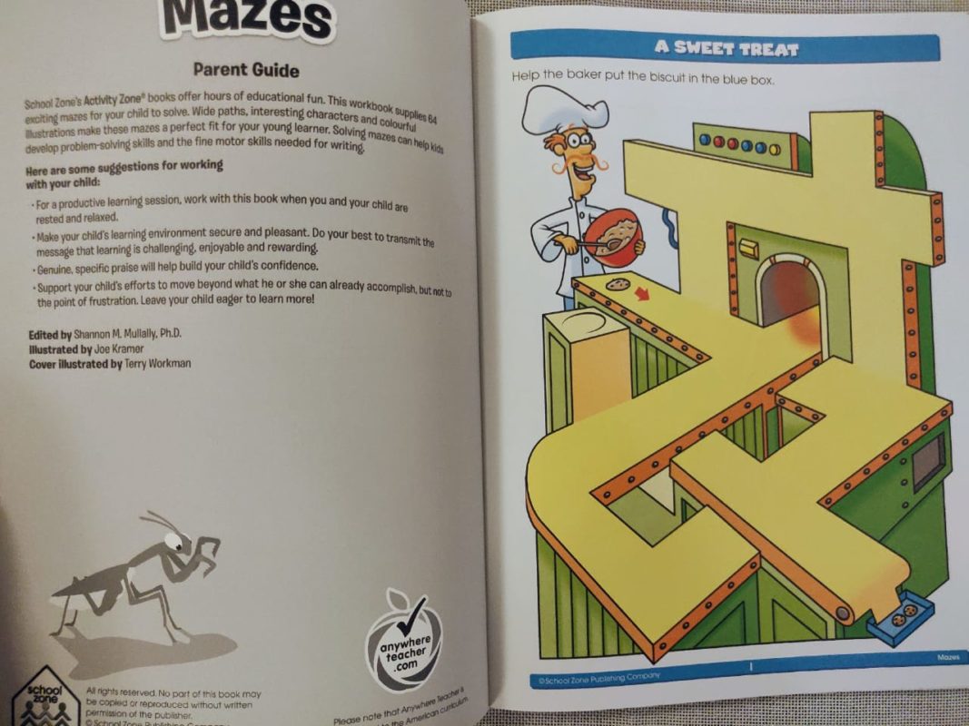Mazes An Activity Zone Book School Zone – – Booky Wooky