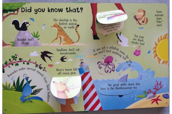 Lift A Flap Book Amazing & Curious Facts about Animals – – Booky Wooky