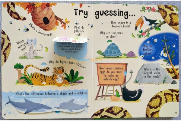 Lift A Flap Book Amazing & Curious Facts about Animals – – Booky Wooky