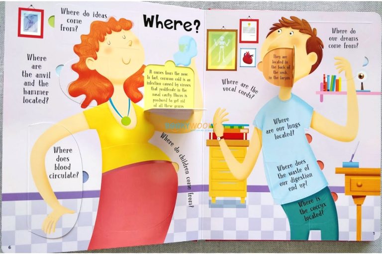 Lift A Flap Book Amazing & Curious Facts about the Human Body – – Booky ...