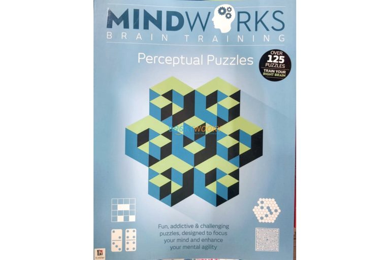 Mindworks Brain Training Perceptual Puzzles – – Booky Wooky