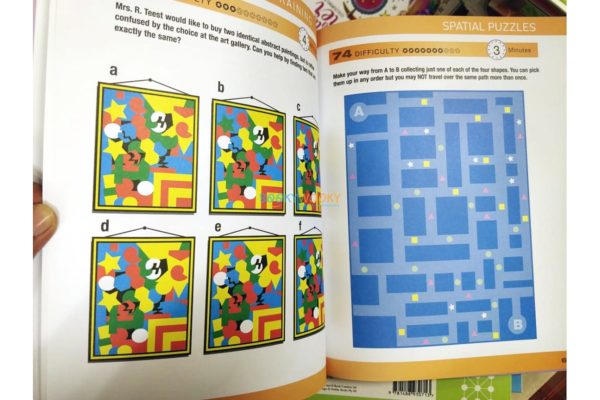 Mindworks Brain Training Spatial Puzzles – – Booky Wooky