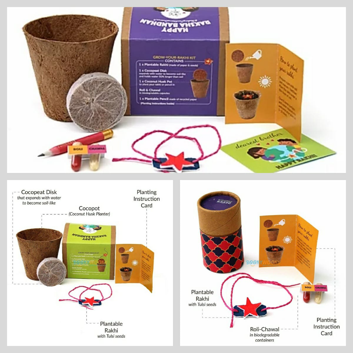 Plantable Rakhi with Seeds for Kids - 3 options – Festive Products For ...