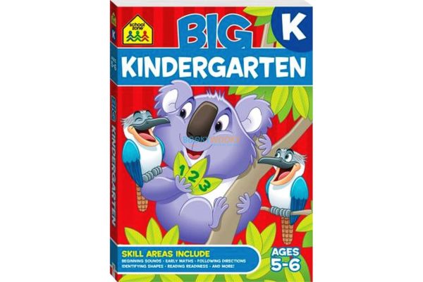 Big Kindergarten by School Zone – – Booky Wooky