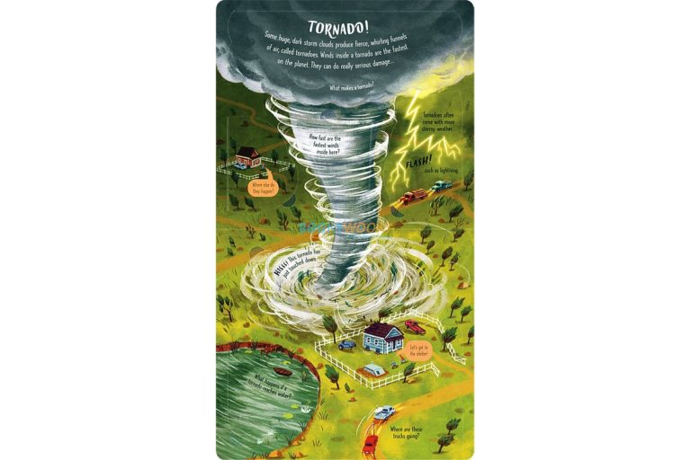 Look Inside Wild Weather – Lift the Flaps – – Booky Wooky