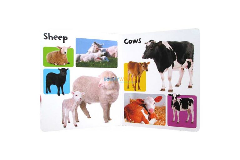 My First Farm – First Words Books For Kids – Booky Wooky