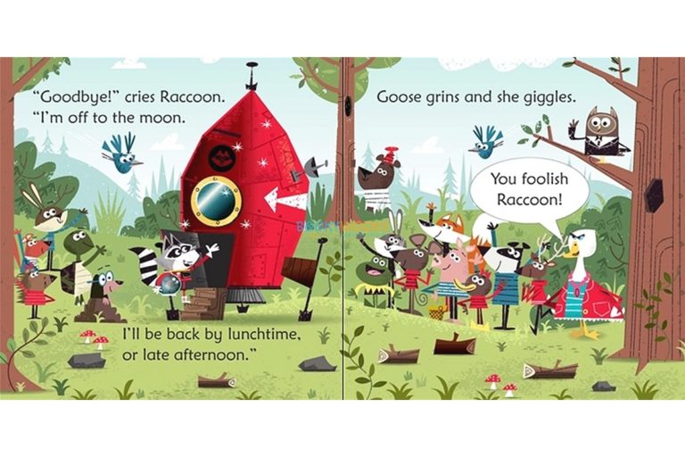 Raccoon on the Moon- Usborne Phonics Readers – – Booky Wooky