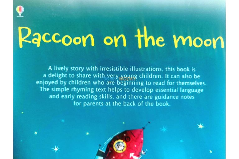 Raccoon on the Moon- Usborne Phonics Readers – – Booky Wooky