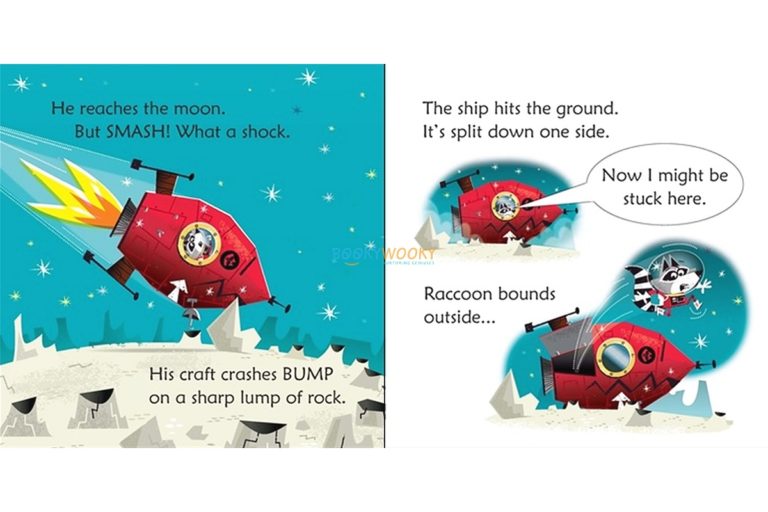 Raccoon on the Moon- Usborne Phonics Readers – – Booky Wooky