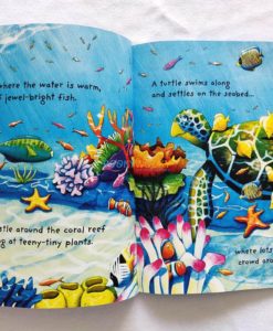 Under the Sea – Story books For Kids – Booky Wooky