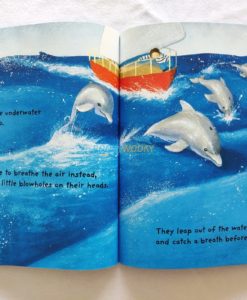 Under the Sea – Story books For Kids – Booky Wooky