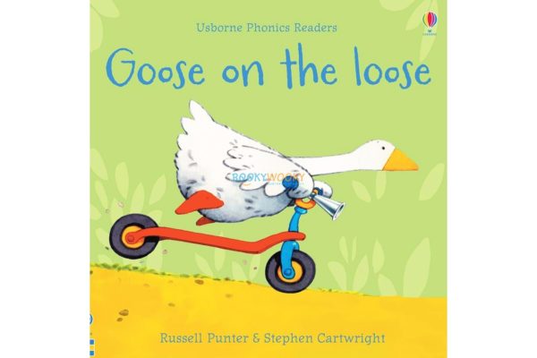 Goose on the Loose – Usborne Phonics Readers – – Booky Wooky