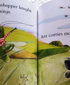 The Ant and the Grasshopper Level 1 – Story books For Kids – Booky Wooky