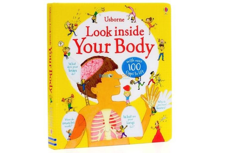 Look Inside Your Body Usborne 100 flaps – – Booky Wooky